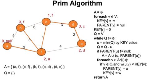 Prims Algorithm Implementation And Examples Updated 2025