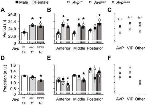 Vasopressin Regulates Daily Rhythms And Circadian Clock Circuits In A Manner Influenced By Sex Pmc Vasopressin Regulates Daily Rhythms And Circadian Clock Circuits In A Manner Influenced By Sex Pmc