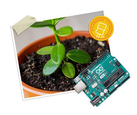 Arduino Community Projects — Arduino Official Store