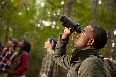 Nature Watch Bird Watching At The Chicago Botanic Garden