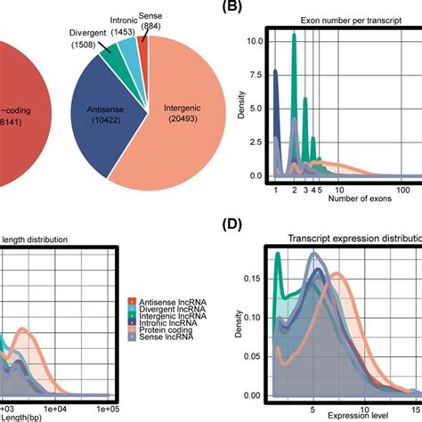 Analysis Of The Types And Properties Of Rnas With Capitalbio Chip Array Download Scientific