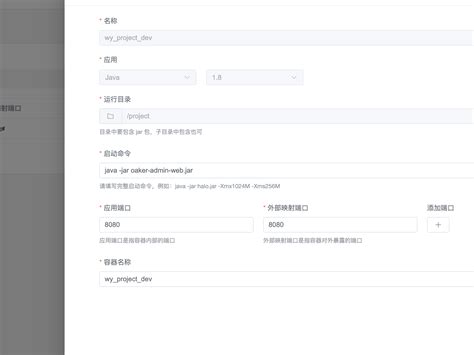 Java运行环境启动失败： 7，来自 雲 1panel 社区论坛 Fit2cloud 飞致云
