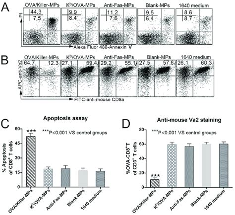 Killer Mps Deplete Antigen Specific Cd8 T Cells Through Download Scientific Diagram