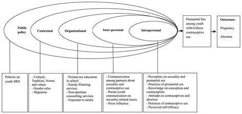 Conceptual Framework The Ecological Model Adapted And Modifi Ed From Download Scientific