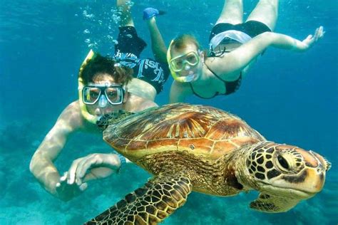 Best Snorkeling In Phuket Top 10 Snorkelling Destination