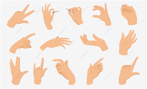 Female Hand Gestures Flat Vector Illustration Open Direction Taking