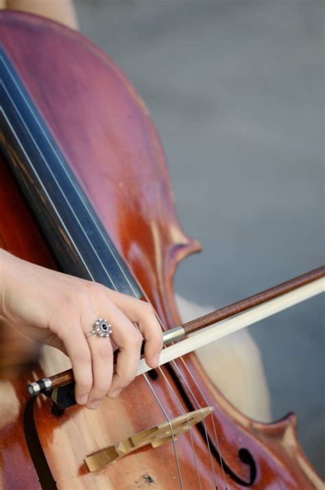 The 6 Best Cello Strings CelloGuide