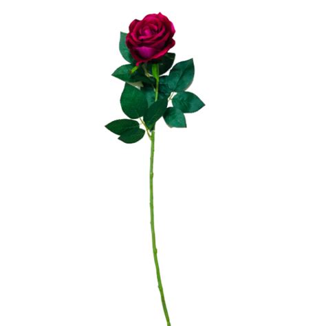 Декоративно зелено букетно растение Emag Bg