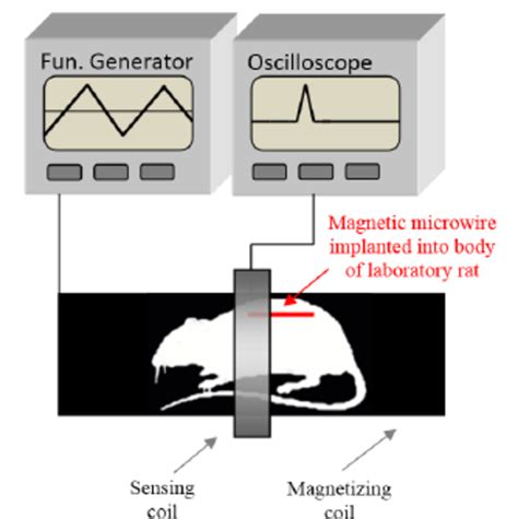 Schematic Drawing Of The Apparatus For Measuring Of The Switching Field Download Scientific