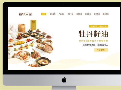 Web Deign 」智华天宝品牌 网页设计方案alison未希 站酷zcool