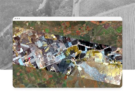 Machine Learning And Big Data Address Agricultural Challenges In Africa