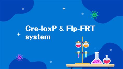 Virus Vector Viral Vector Production Braincase
