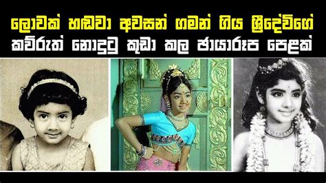 ලොවක් කම්පාකරමින් අවසන් ගමන් ගිය ශ්‍රීදේවිගේ කව්රුත් නොදුටු කුඩා කළ දුර්ලබ ඡායාරූප පෙළ මෙන්න