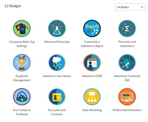 📢 I Am Excited To Share That Ive Just Completed Salesforce Trailhead Badges 🎓 Swetha A N