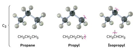 421 Alkyl Groups Chemistry Libretexts