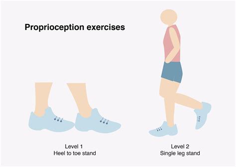 Proprioception Training Exercises After Sprained Ankle