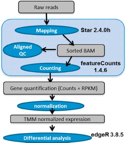 Workflow For Rna Seq Data Analysis