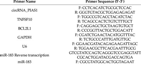 The Primer Sequences For Qrt Pcr Download Scientific Diagram