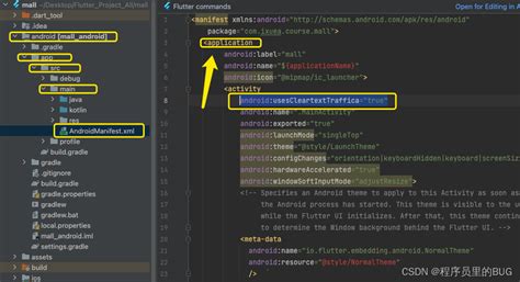 Flutter 配置允许请求 Csdn博客