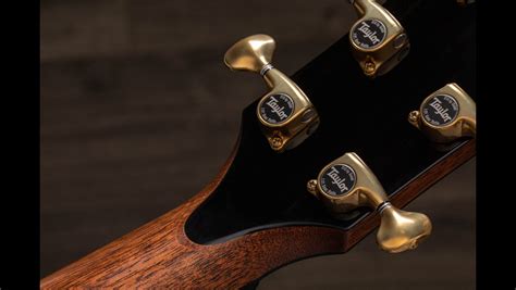 Ps14ce Honduran Rosewood Honduran Rosewood Acoustic Electric Guitar Taylor Guitars