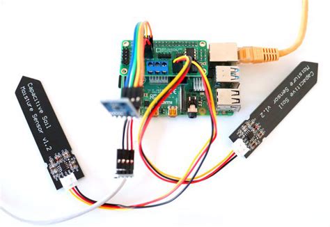 Raspberry Pi Garden Kit Fasci Garden