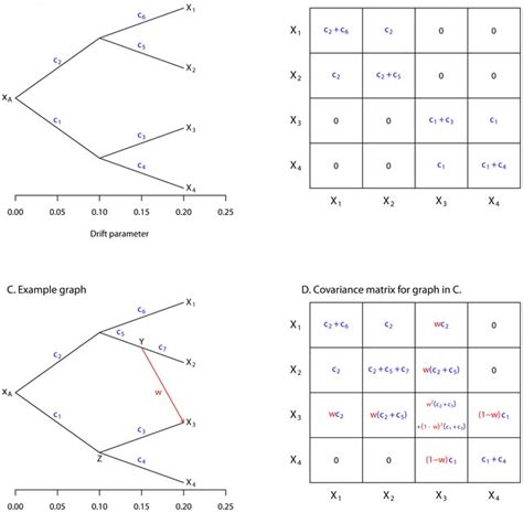 Simple Examples A An Example Tree B The Covariance Matrix Implied