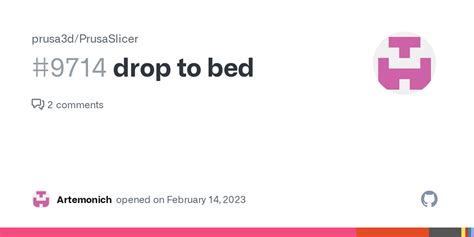 Drop To Bed · Issue 9714 · Prusa3dprusaslicer · Github
