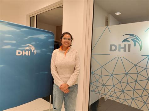 Groundwater Feflow Hydrogeology Igstc Dhi Researchexperience Waterresource Industry