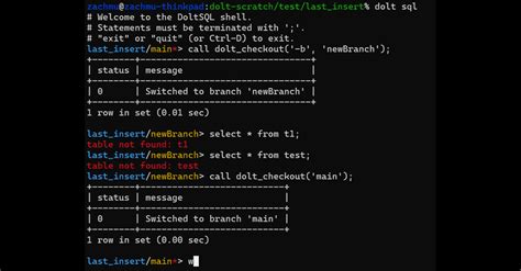 Building An Interactive Shell In Golang DoltHub Blog