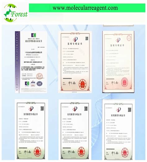 Genomic Dna Isolation Kit Dna Isolation And Purification Molecular