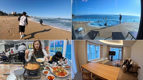 강추 호캉스 In 카시아속초 국립산악박물과 속초중앙시장 카시아속초 Youtube