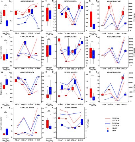 Analysis Of The Expression Patterns Of Candidate Genes By Qrt Pcr And