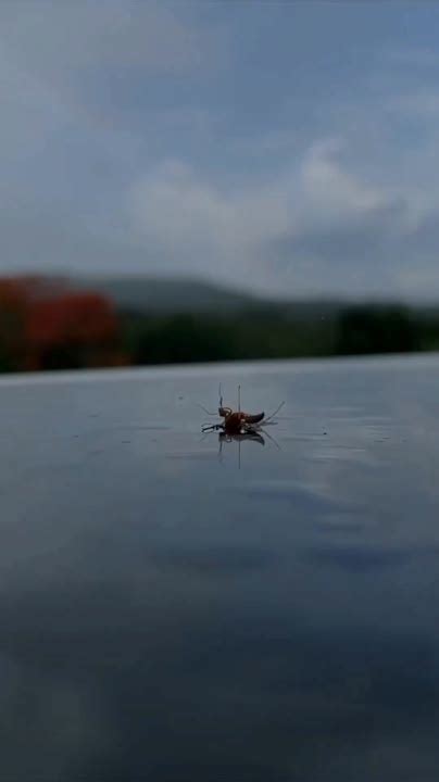 Rajat Jain Posted On Linkedin