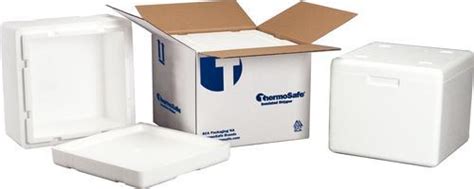 Thermosafe Outer Corrugate Box Thermosafe For Model 413 Bottle Shipp — Serfinity Medical