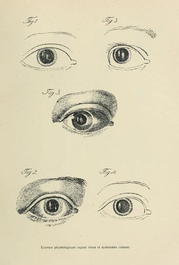 Jan Evangelista Purkinje History Of Retina
