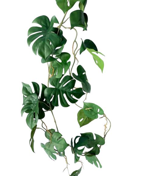 Artificial Trailing Monstera Vine 110cm Realartificial