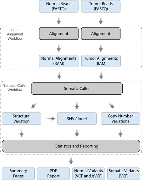 Workflow Diagram