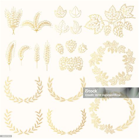 황금 상 보 리 맥 아 호 밀 밀 귀와 홉 콘 라벨 디자인에 대 한 나뭇잎 월계관의 집합입니다 우승자 맥주 프레임입니다 벡터는 일러스트 레이 션 고립 홉에 대한 스톡 벡터