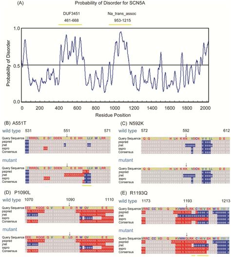 Prediction Of Secondary Structural Variations At Sequence Alteration