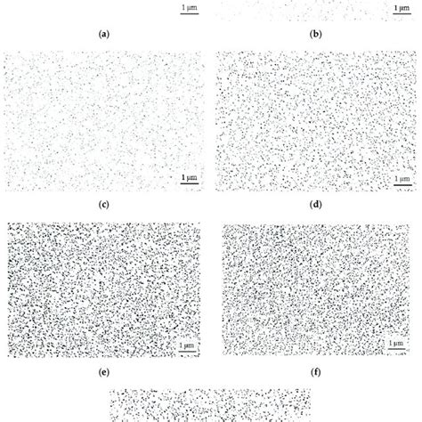 Scanning Electron Micrographs Post Processed Binarized And Inverted Download Scientific