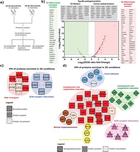 Proteomic And Pathway Analysis Of Proteins Identified From 2d Or 3d
