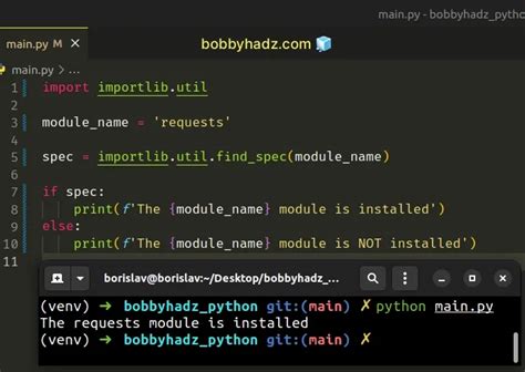 Check If Program Is Installed Python