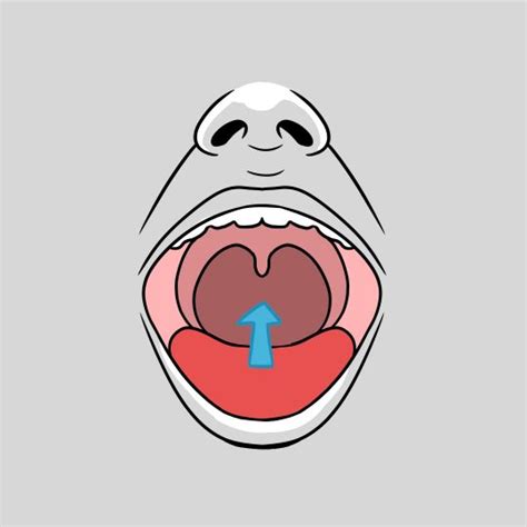 Exercises To Improve Chronic Snoring And Sleep Apnea