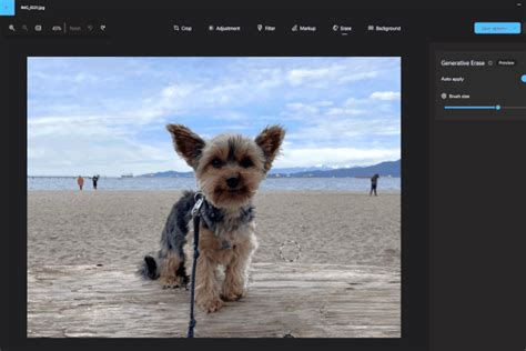 Generative Erase Windows New AI Feature To Edit Photos HyScaler