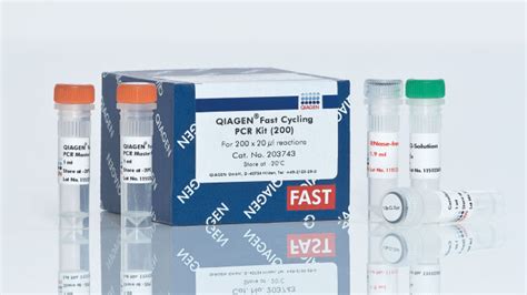 Qiagen Fast Cycling Pcr Kit