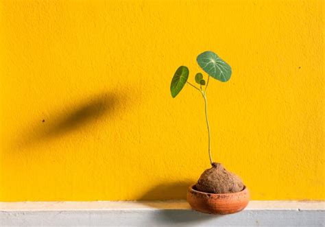 Public Sector Social Media Guide 2023 Advice Cloud