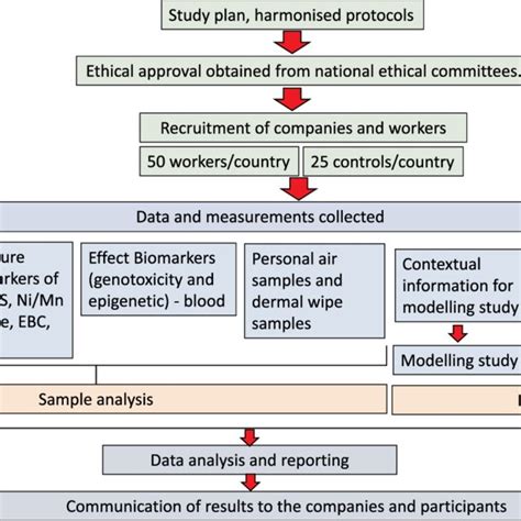 Schematic Illustration Of The Workflow Download Scientific Diagram