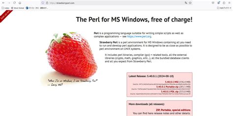 3 Windowsでお勧めのstrawberry Perlを導入する ぶんぶんのライフハック集