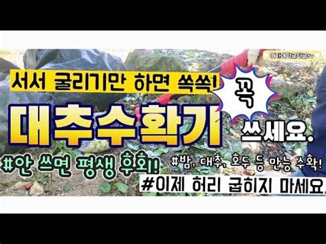 강력 추천 밤 대추수확기 꼭 사용해 보세요 희한하네 이거 허리 펴고 편하게 수확하자 밤수확기 대추수확기 밤돌이마트 YouTube