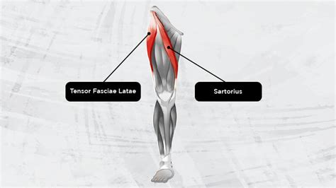 Direct Anterior Approach Total Hip Replacement